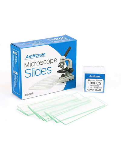 Microscope Slides | Fox Fungi