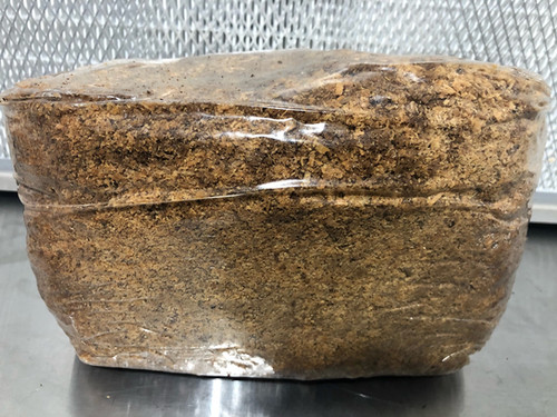 Sterilized Master's Mix Substrate Block | Fox Fungi