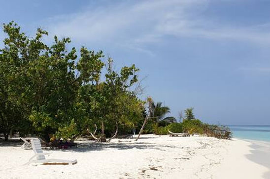 best dive sites | whale shark watching | white sand | maldives | dhangethi