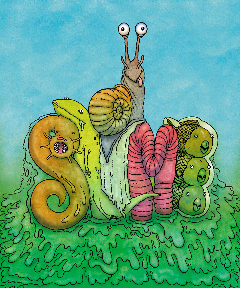 Home | David Clark Illustration