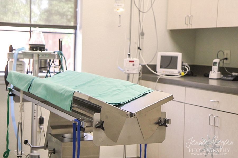 Understanding Anesthesia for Your Pet: What You Need to Know