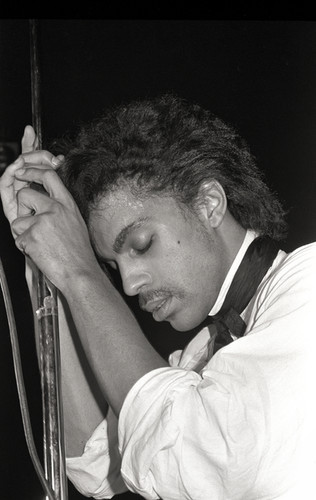 Prince | Greg Helgeson