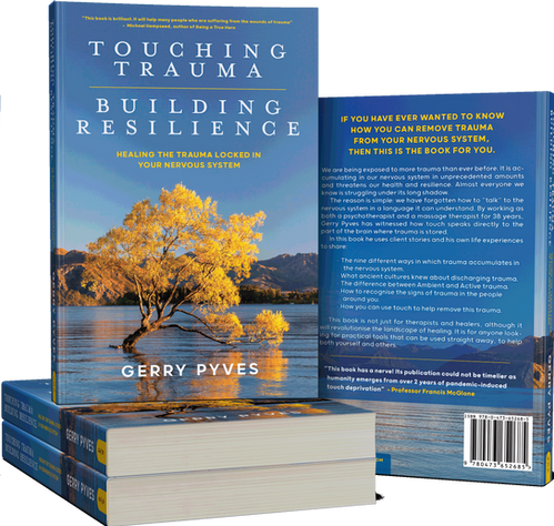 "Touching Trauma - Building Resilience" Book | Gerry Pyves
