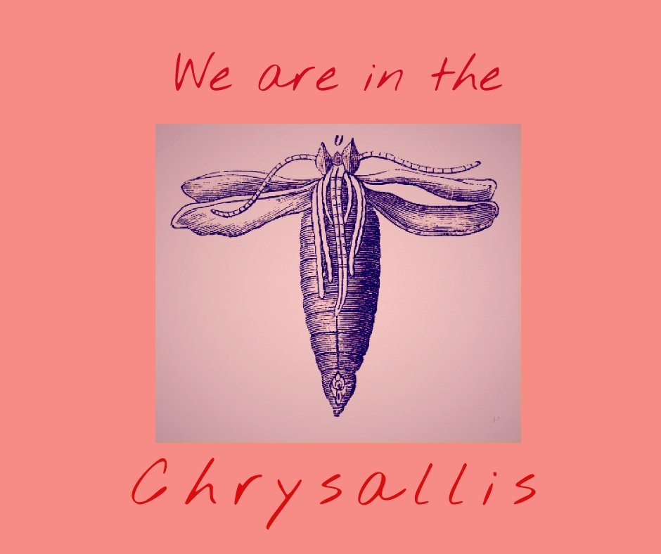 We Are In A Collective Rite Of Passage: Entering The Chrysallis