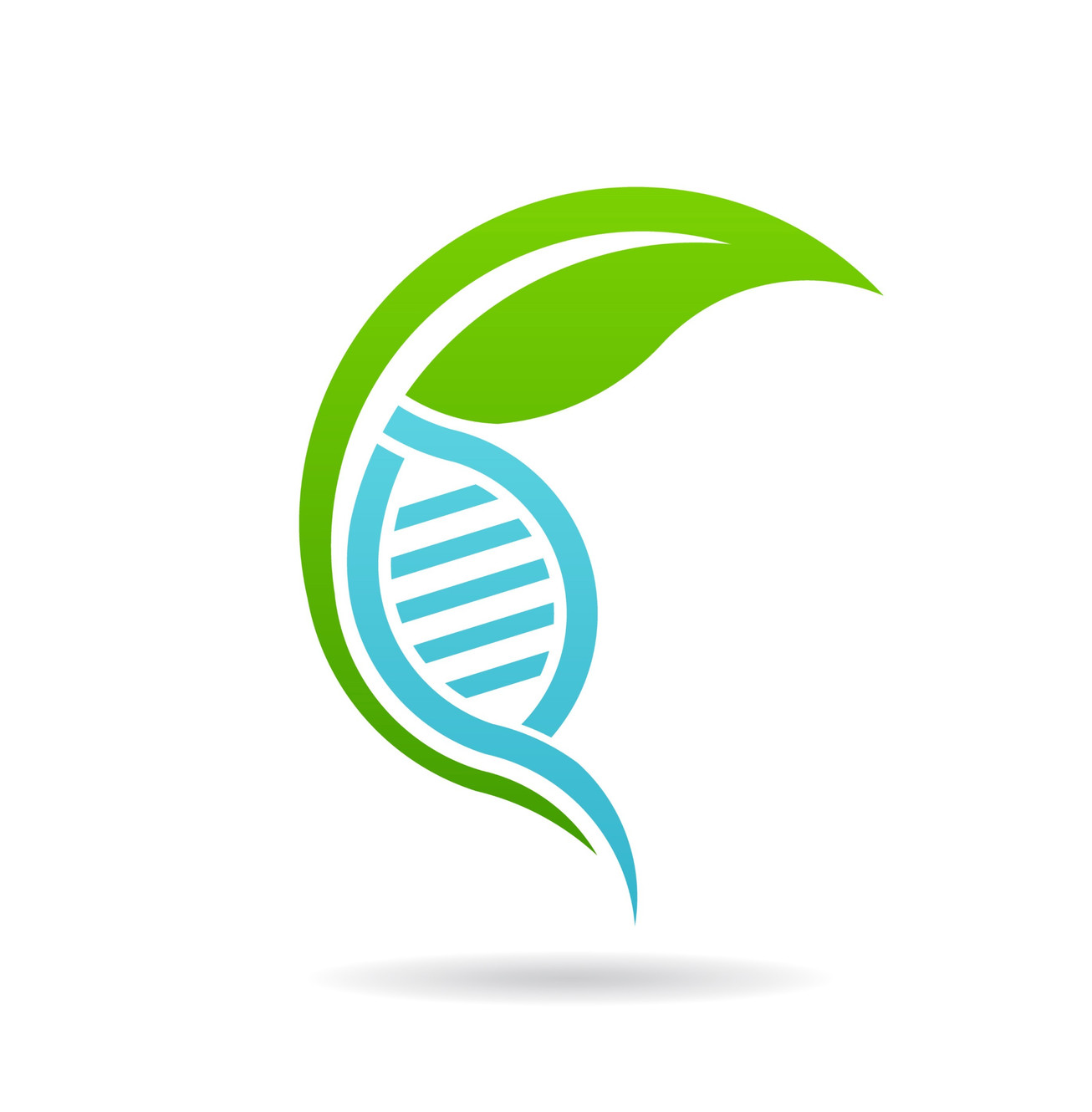 Nutrition Programs | Restore Equilibrium