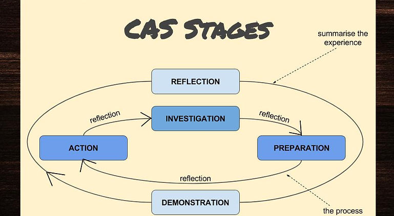 CAS Stages | casatuas