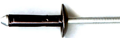 1/4" Ford Split Open Rivet #2142T #N806860-S100 (Starting at 20/box ...