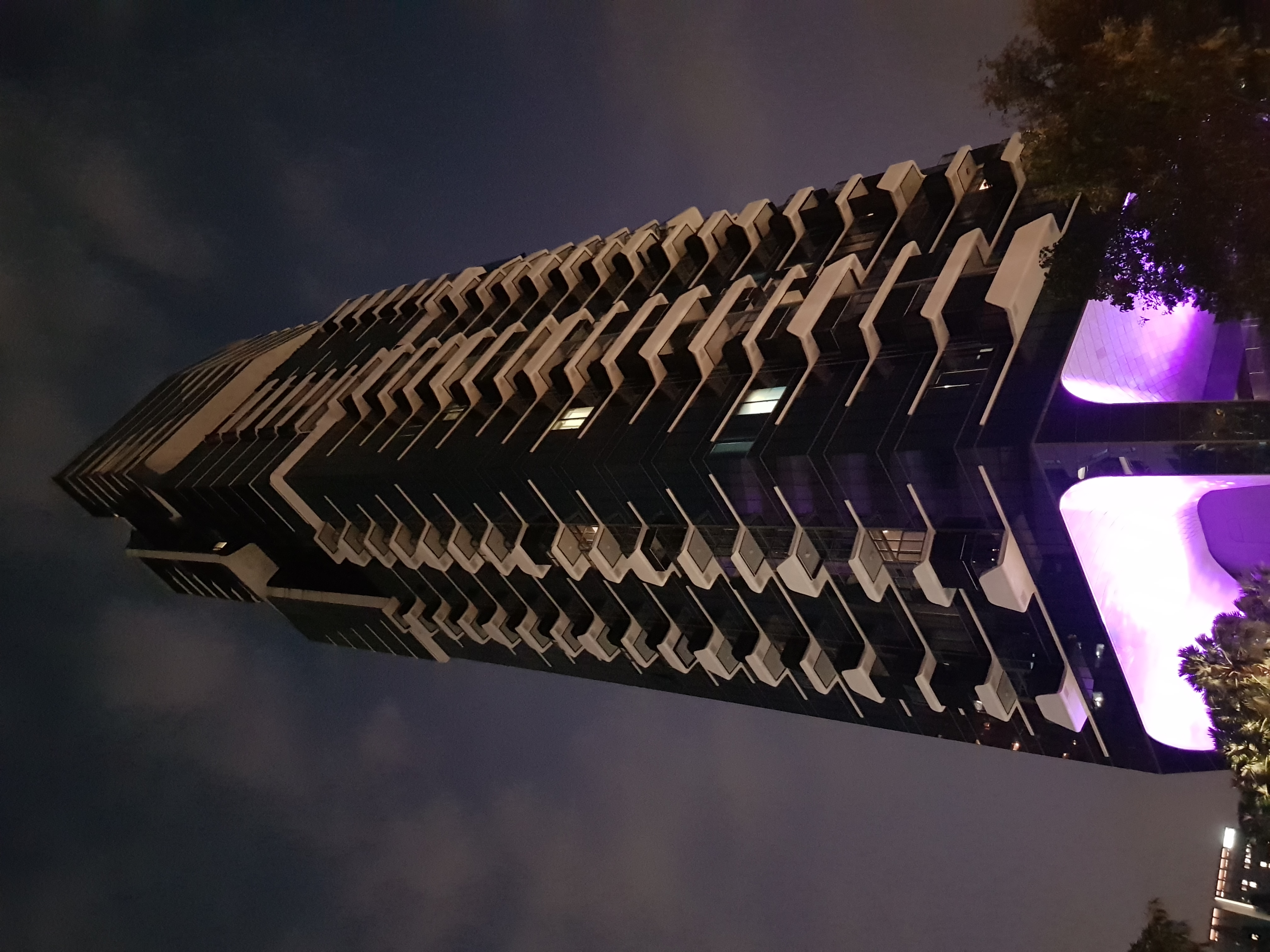 Our Projects For 2017