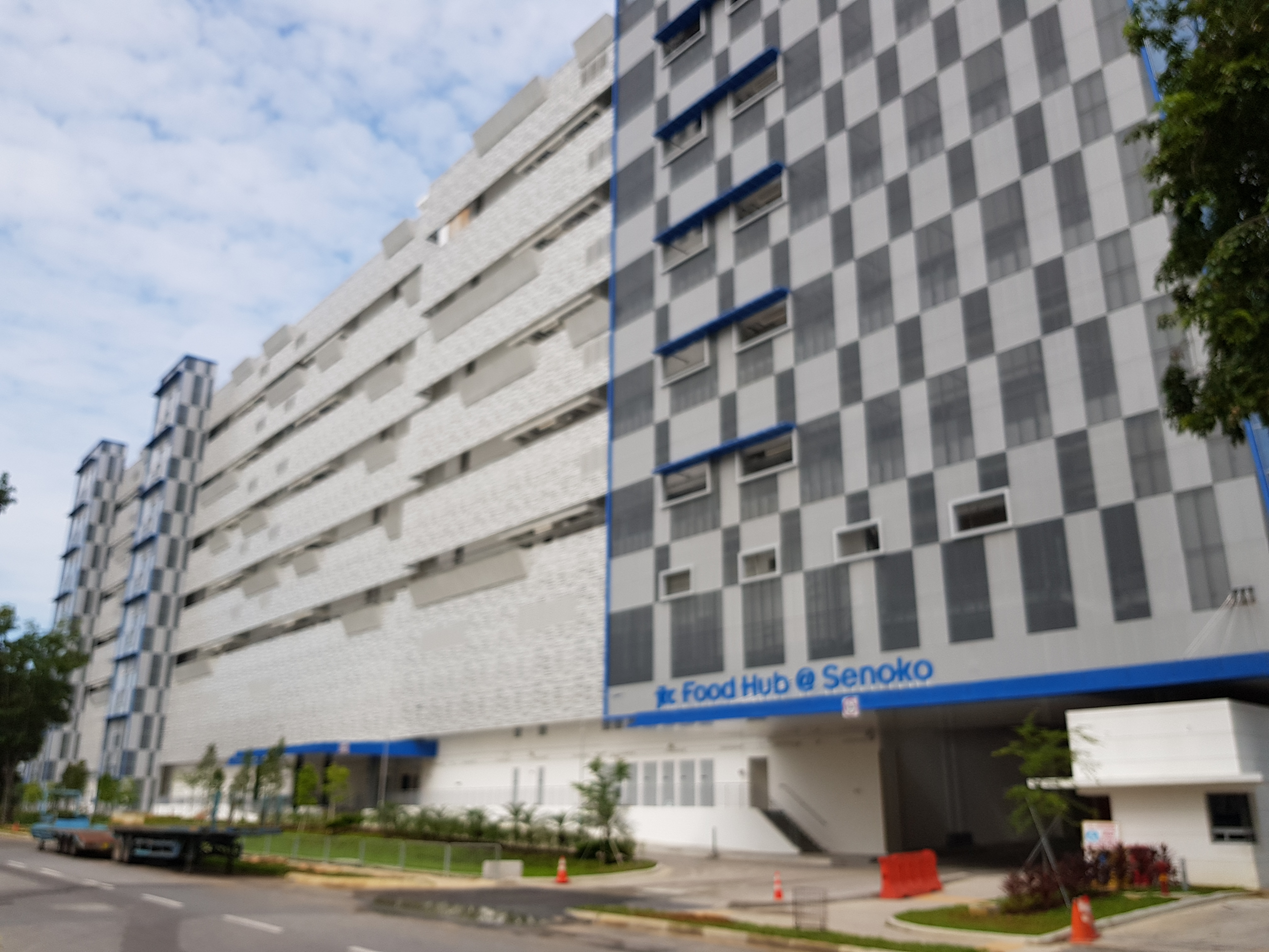 Our Projects For 2017