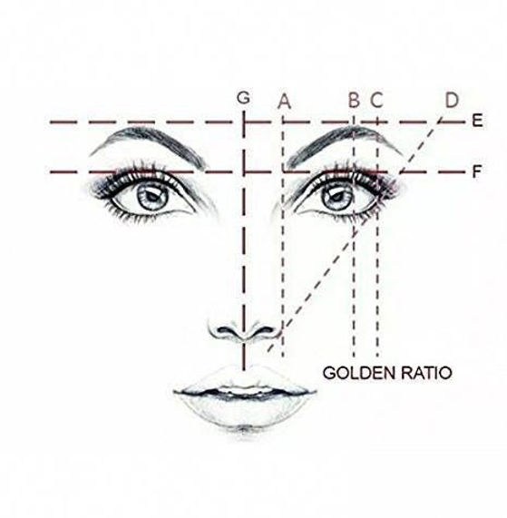 The Golden Ratio Principle In Eyebrow Microblading