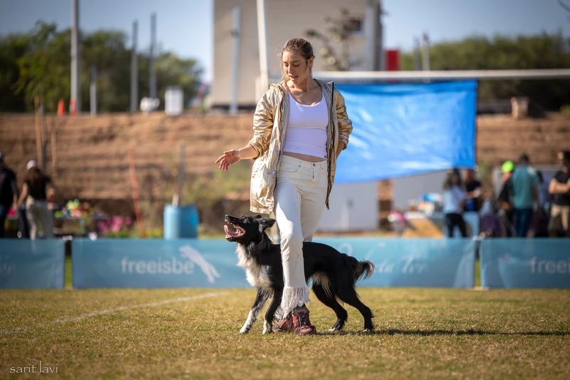 Online Courses | Keta Tov