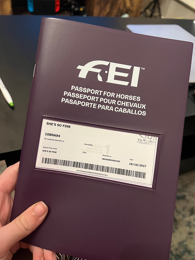 FEI Registration: Step by Step