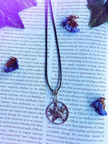 Crow Pentacle Necklace | Witchinwares