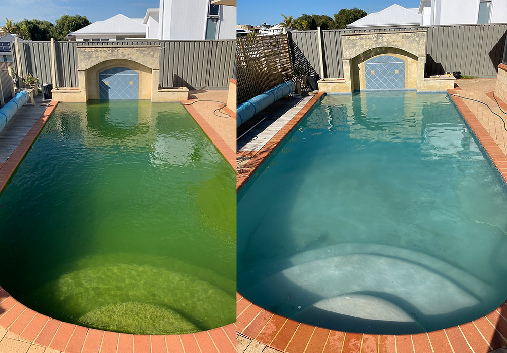 Green Pool Recovery