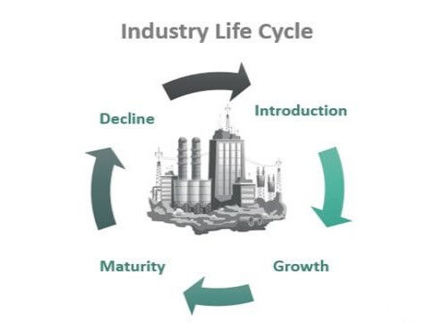Industry Life Cycle