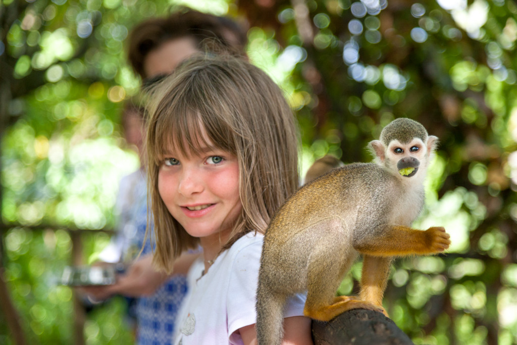 Monkeyland Tour – Punta Cana | Go Dominican Travel
