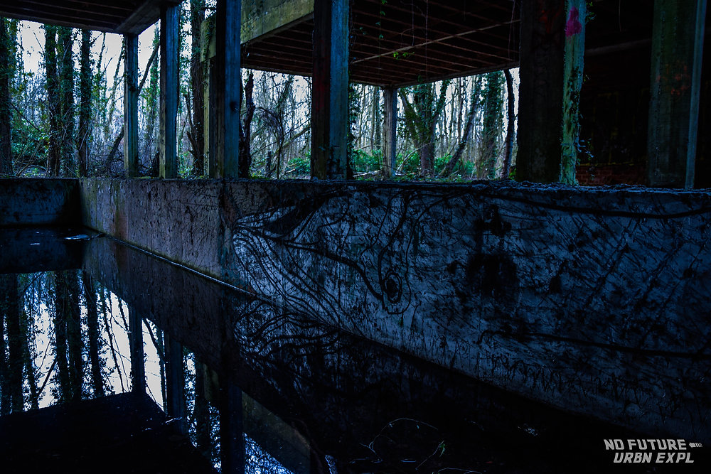 Urbex: Swamp hotel.