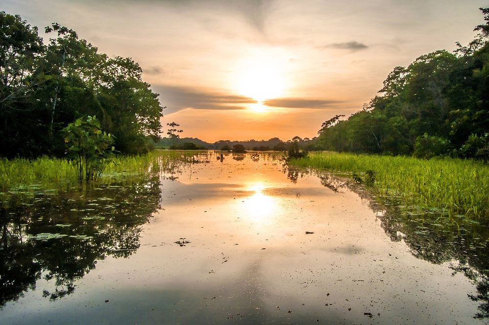 Conoce Venezuela | Amazonas