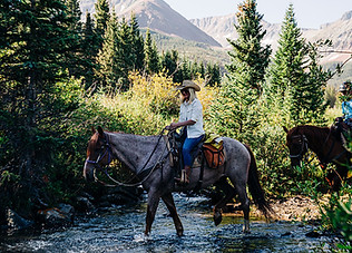 TRAIL RIDES | telluridewranglers