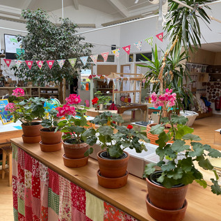 Our Environments | My Site