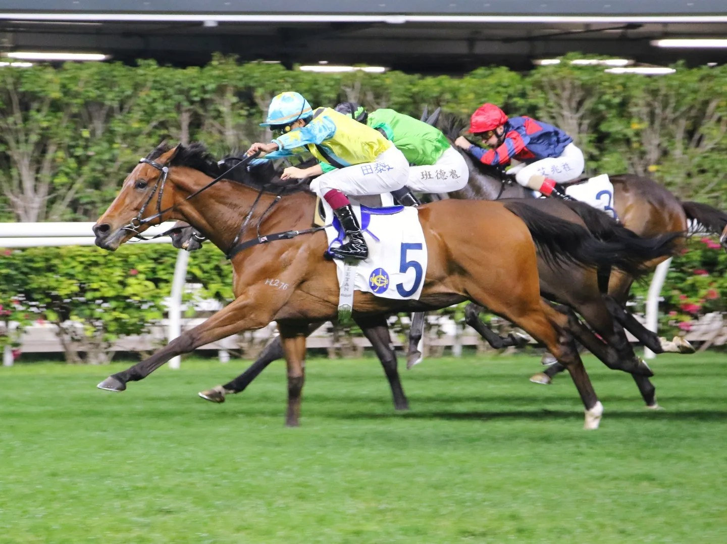 一支箭 SHARPEN BRIGHT | Hong Kong Bloodstock
