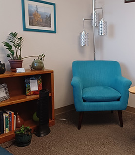 Meet Kate | Bodhi Counseling | Champaign, IL