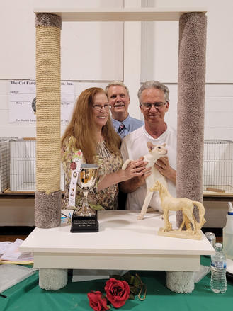 Gallery | Triple Crown Cat Fancier's Association | United States