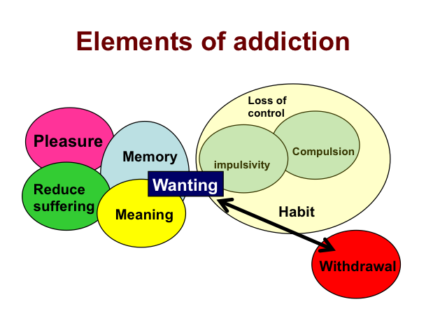 Addiction: from basic neuroscience to clinical treatments