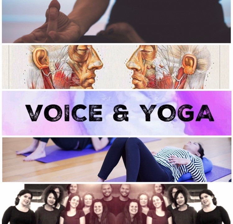 Why Voice and Body?