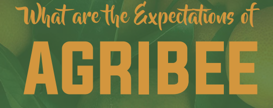 What are the Expectations of AGRIBEE