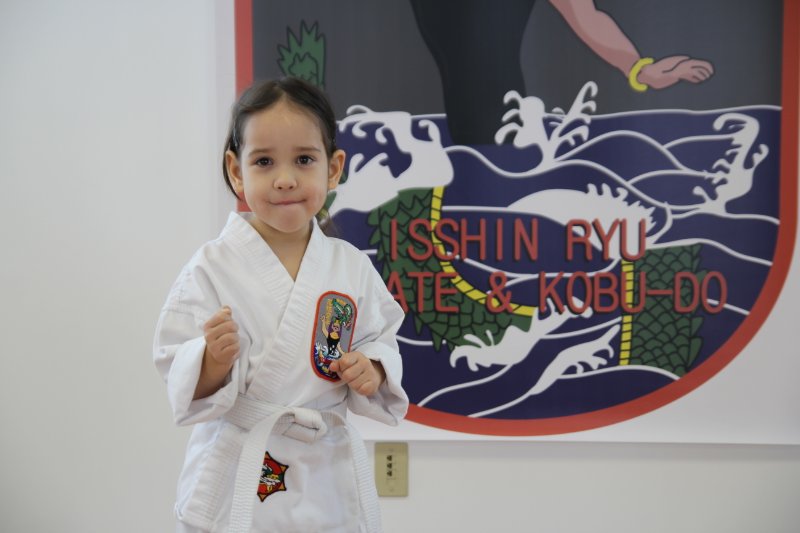 6 Reasons Karate ROCKS