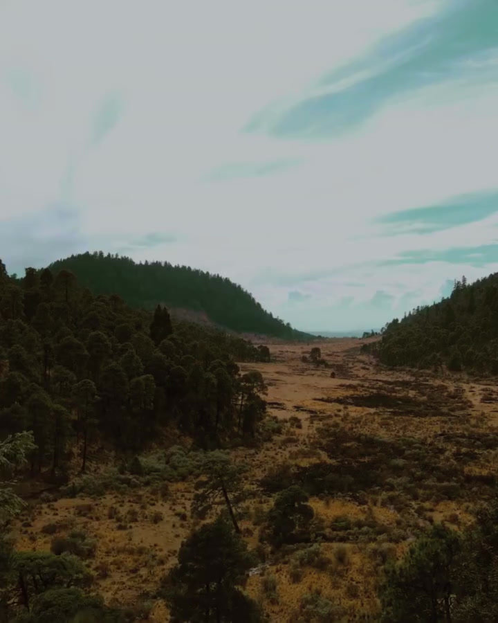 Transforming the Need for Approval