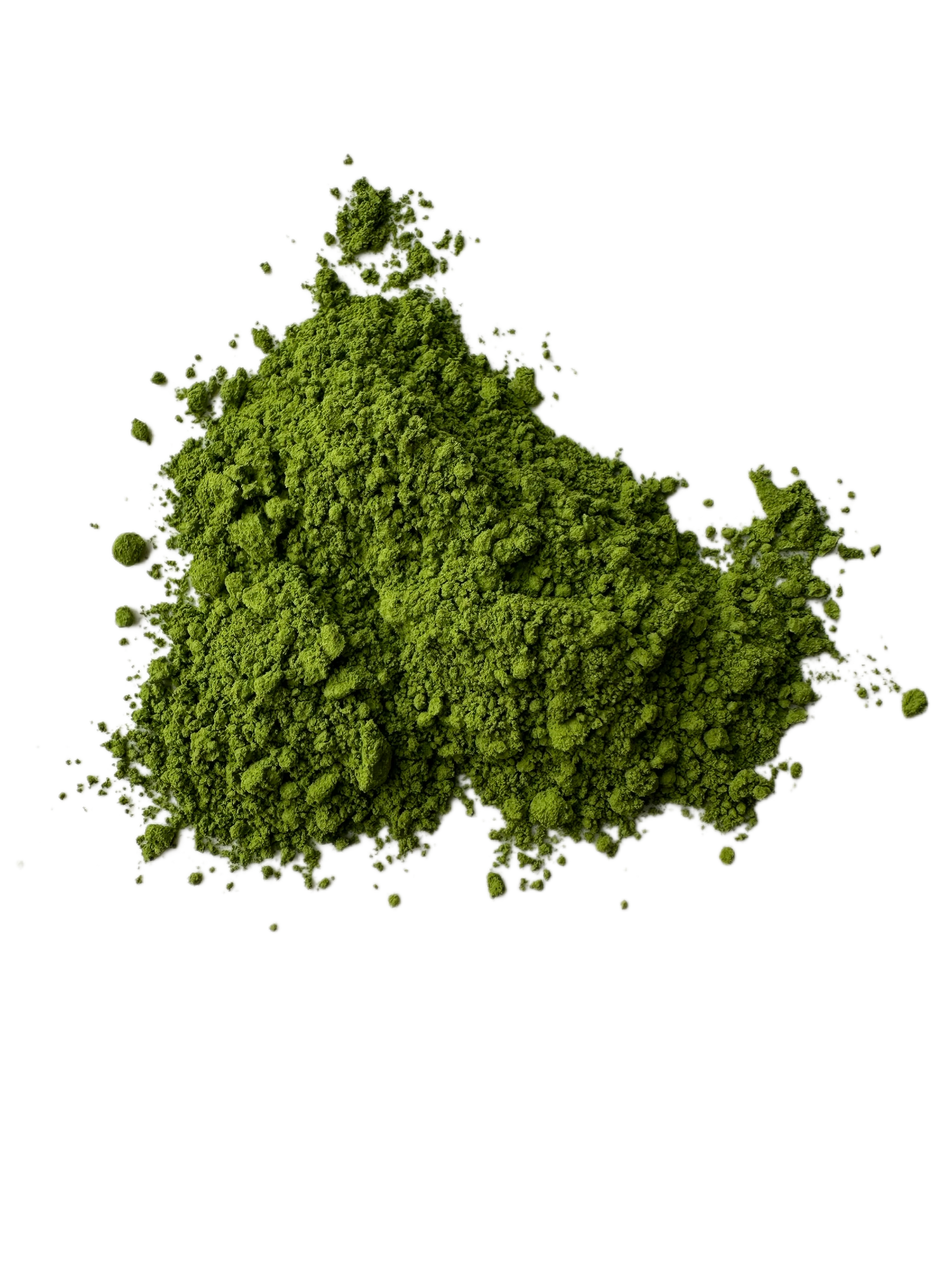 Blog | Sandoner Official