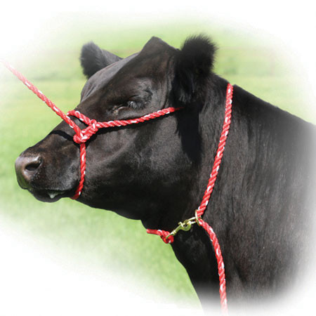 Sullivan's Rope Halter | Limitless Supplies