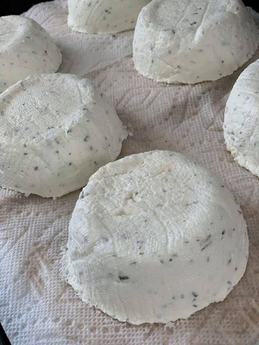 Chevre (Goat Cheese) | Little BIG BEAK Farm