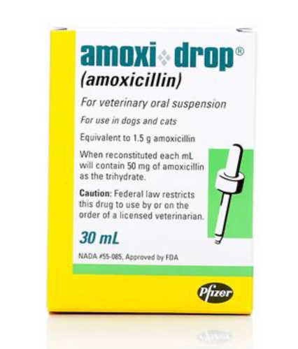 Amoxi-Drop 30 mL | Chariton