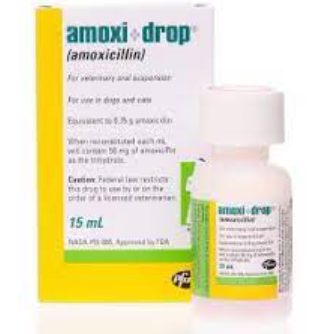 Amoxi-Drop 15 mL | Chariton