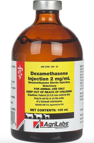 Dexamethasone Inj. 2 mg/100 mL | Chariton