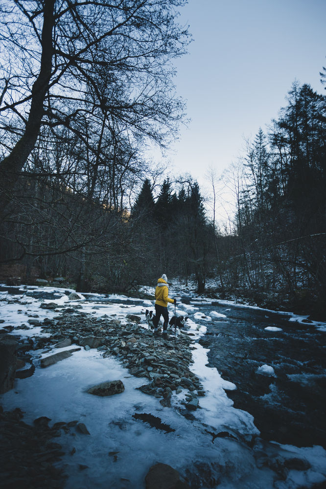 Promenade de la vallée de la Warche