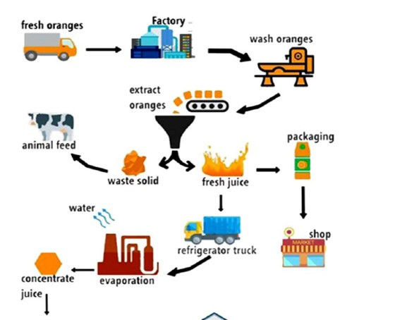 Task 1 Process Diagram Band 9 - How The Orange Juice is Produced