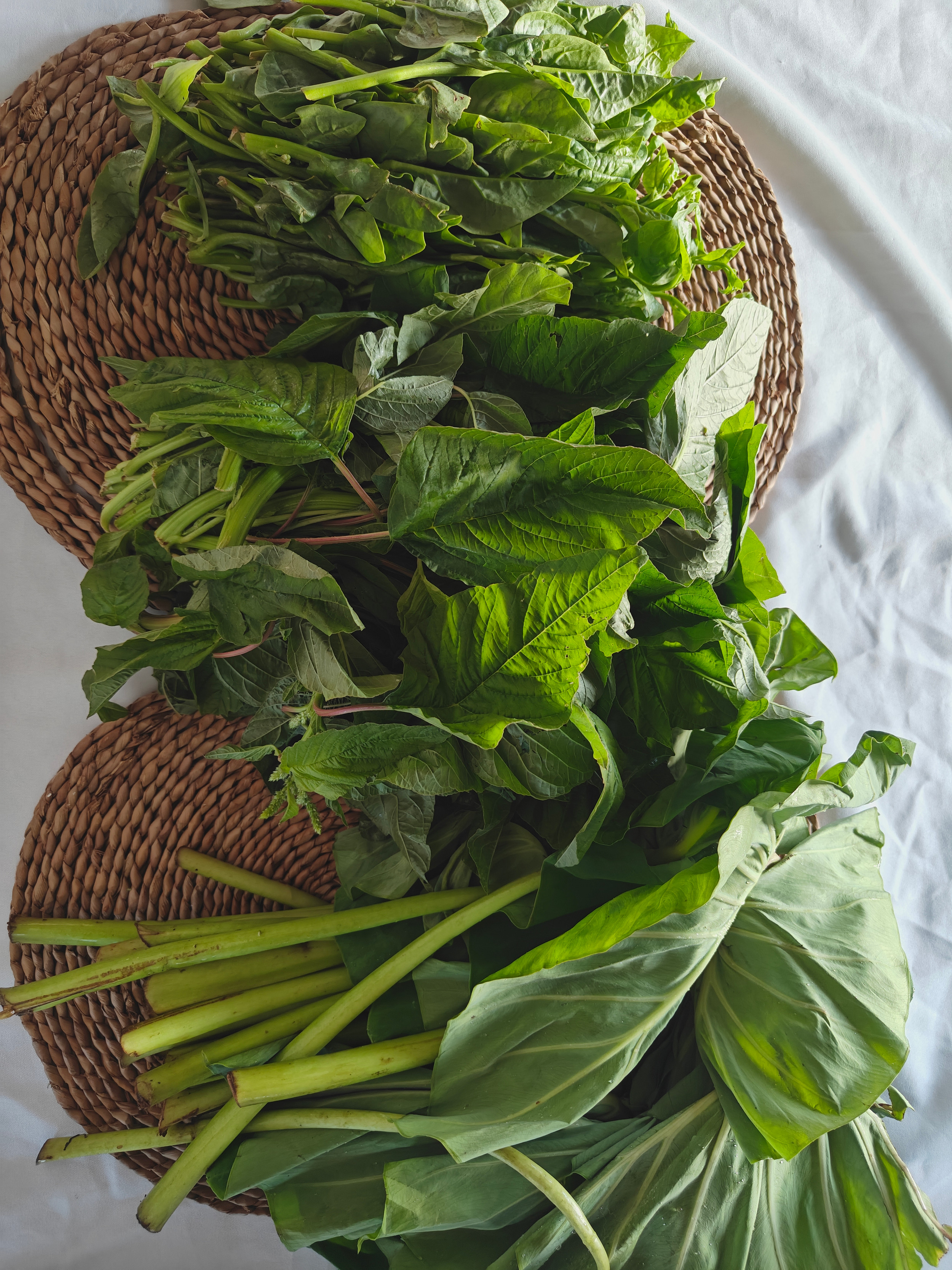 Know your greens — poi spinach, chorai bhagi, dasheen bush
