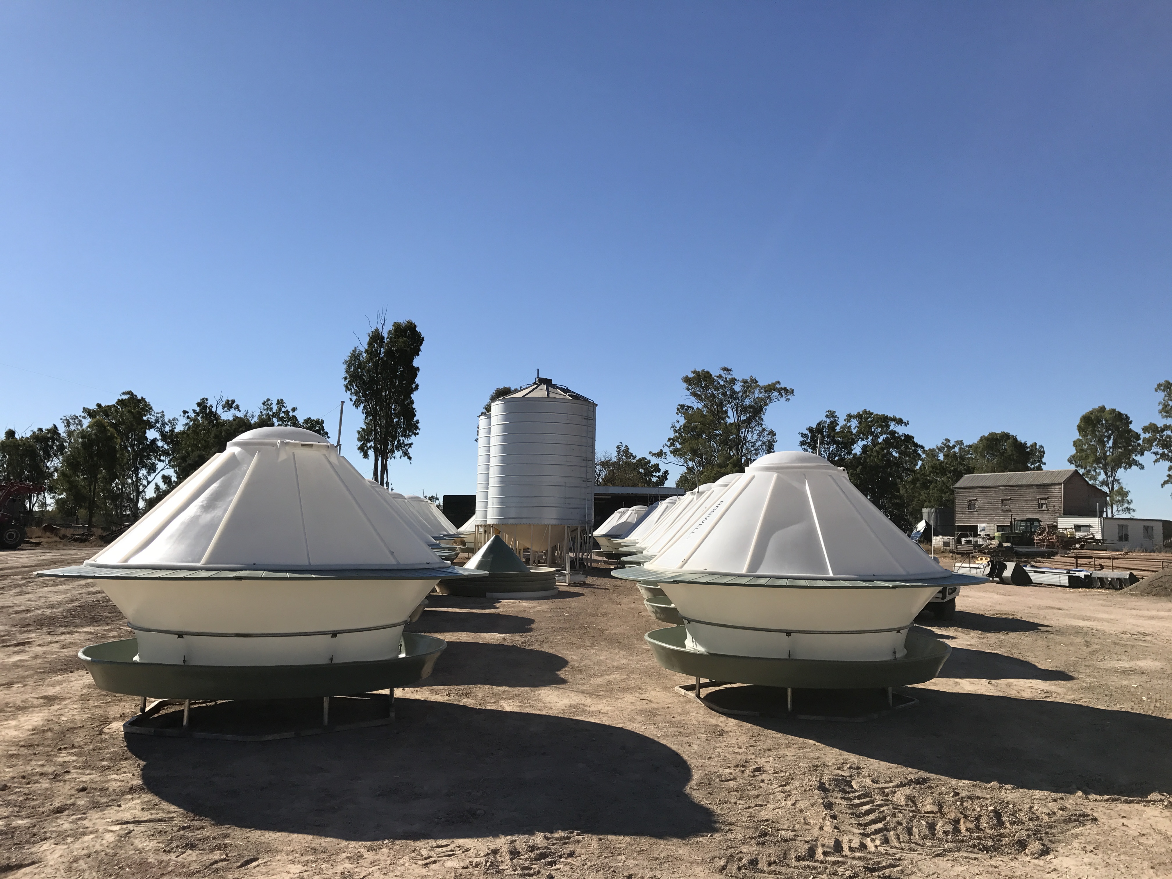 Cattle Feeder | Poly Cattle Feeders | Roswell Ag RCF 9500