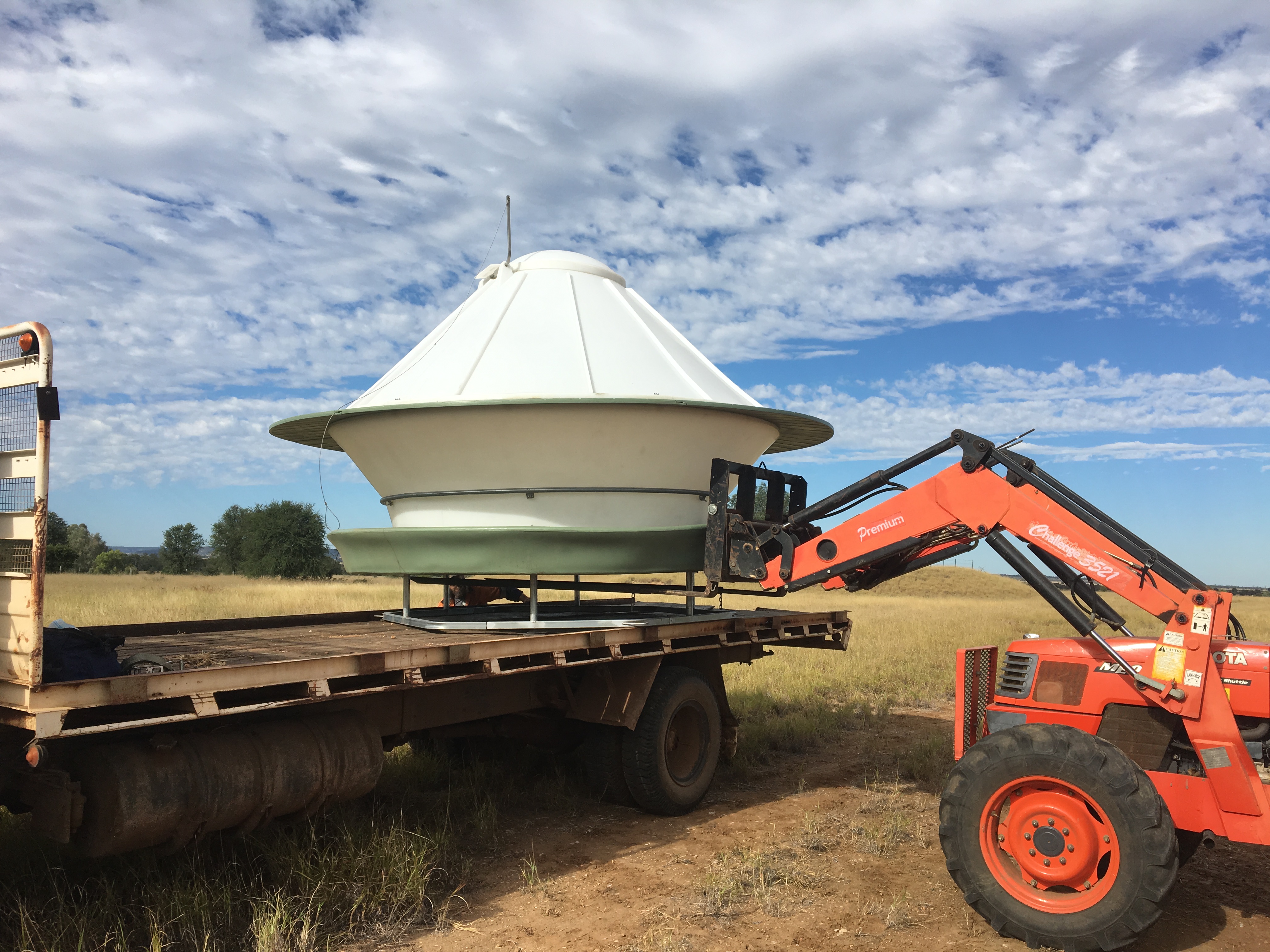 Cattle Feeder | Australian Stock Feeder | Roswell Ag