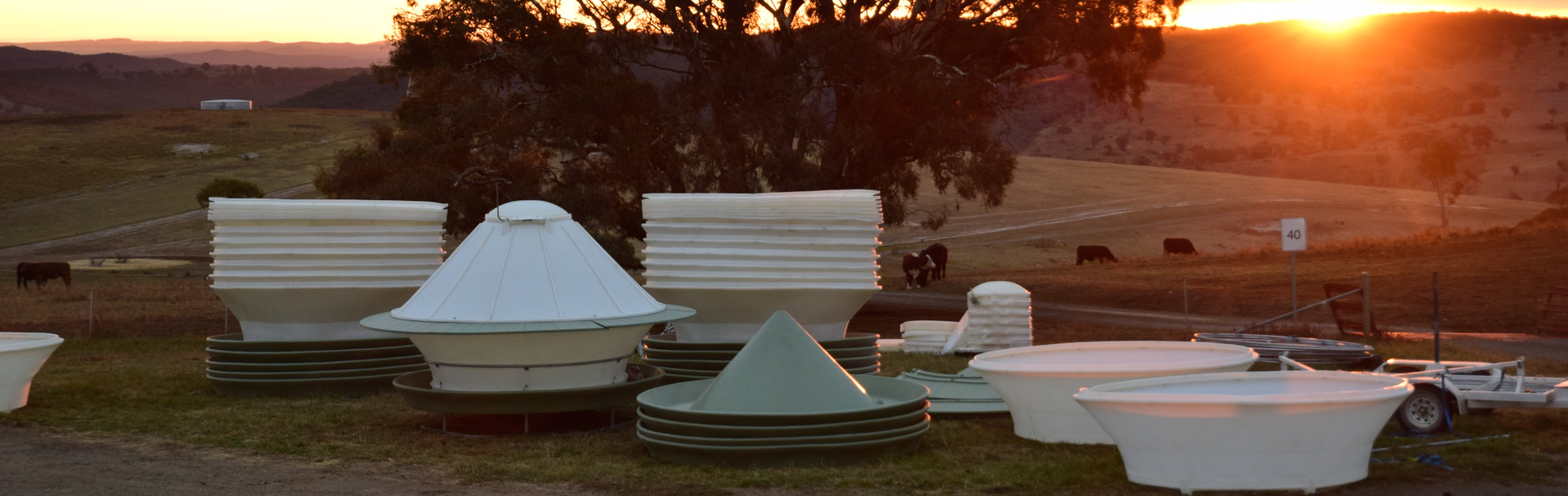 Cattle Feeder | Poly Cattle Feeders | Roswell Ag RCF 9500