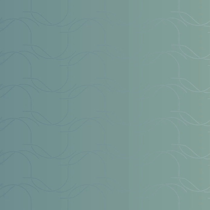 Casu Creative Studio | Identidade Visual | Tráfego Pago