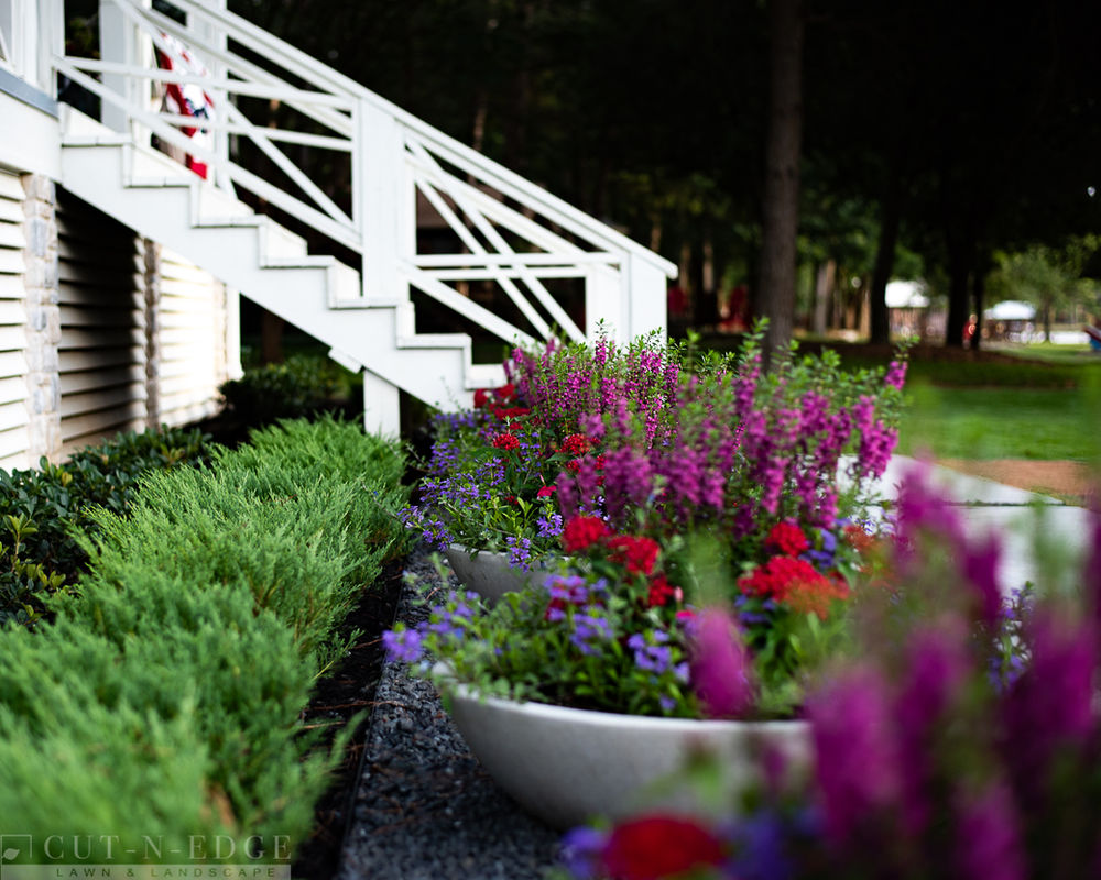 What Are The Five Basic Elements Of Landscape Design?