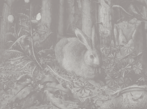 All Products | Taylor Shade