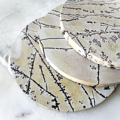 Picture Jasper Plate | Crystal Mission