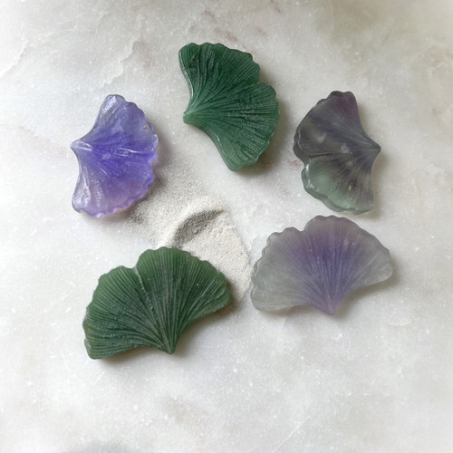Rainbow Fluorite Ginkgo Leaves | Crystal Mission