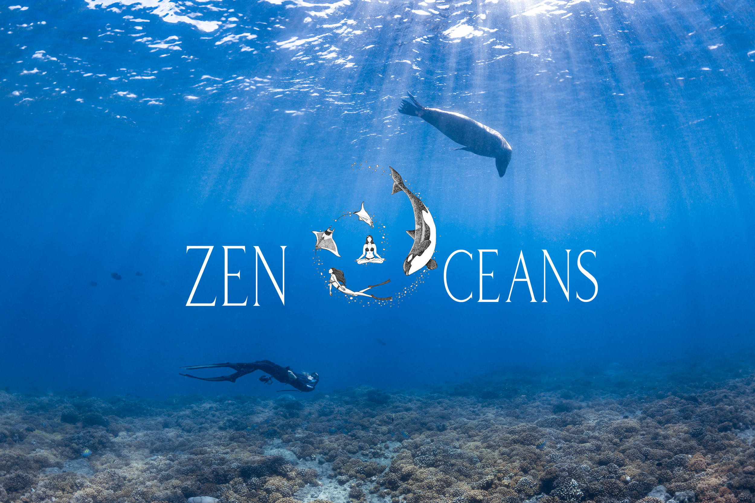 Retreats | Baja Mexico Freediving With Orcas | Zen Oceans
